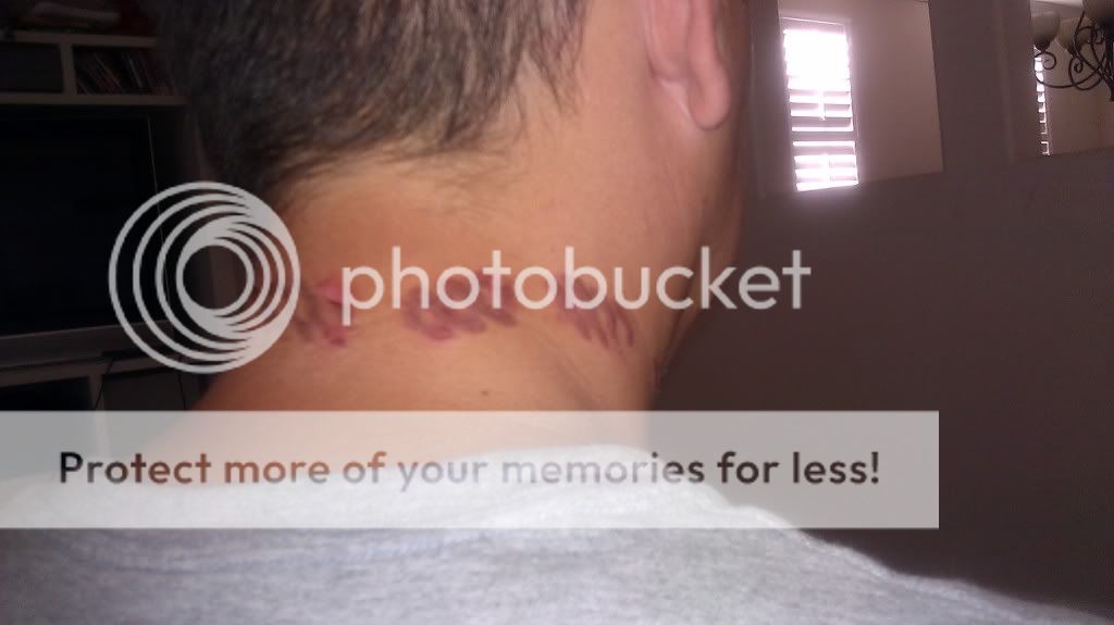 Doofus Award Posts | Vintage Mustang Forums