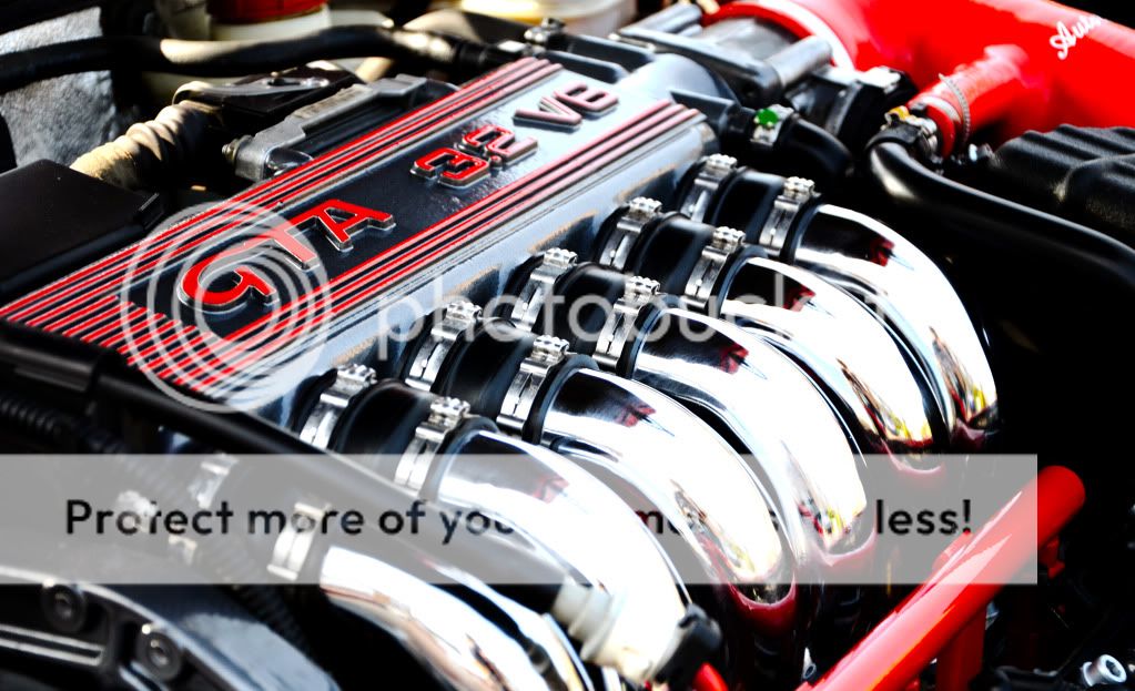GTA Engine Bay | Alfa Romeo Forum